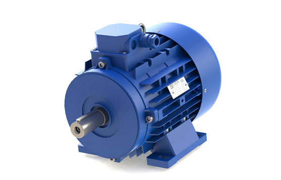 Elprom IE2 motor - Elprom Motor Industries (M) Sdn Bhd